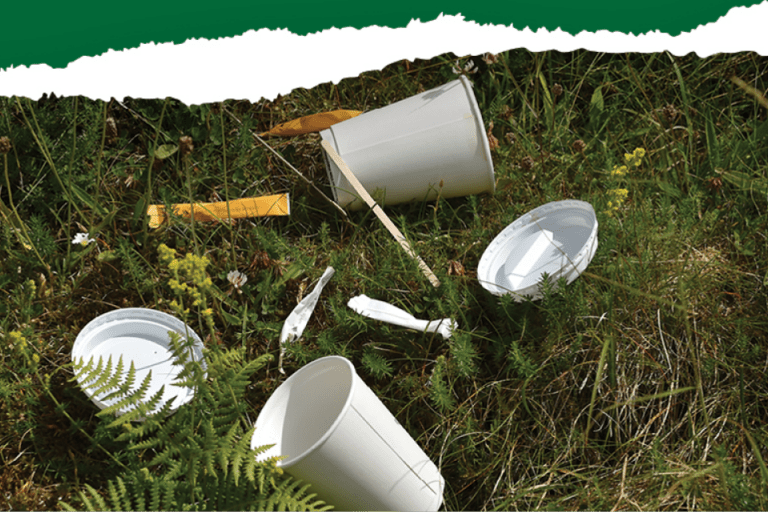 Resources and campaigns - My Waste